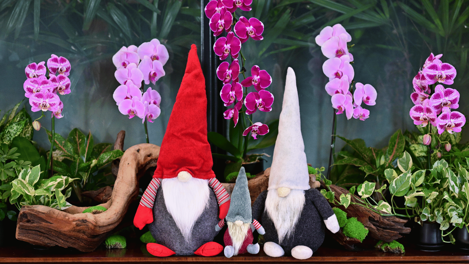 Gnome Plush Toy